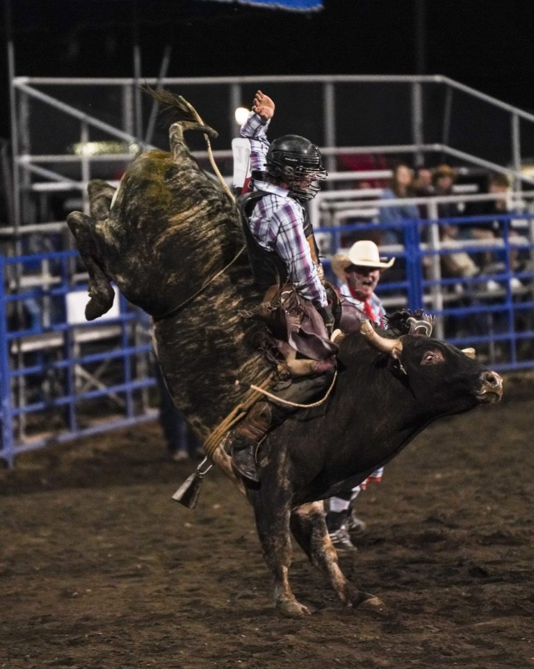 Photos: Steamboat Springs Pro Rodeo brings the bucks | SteamboatToday.com